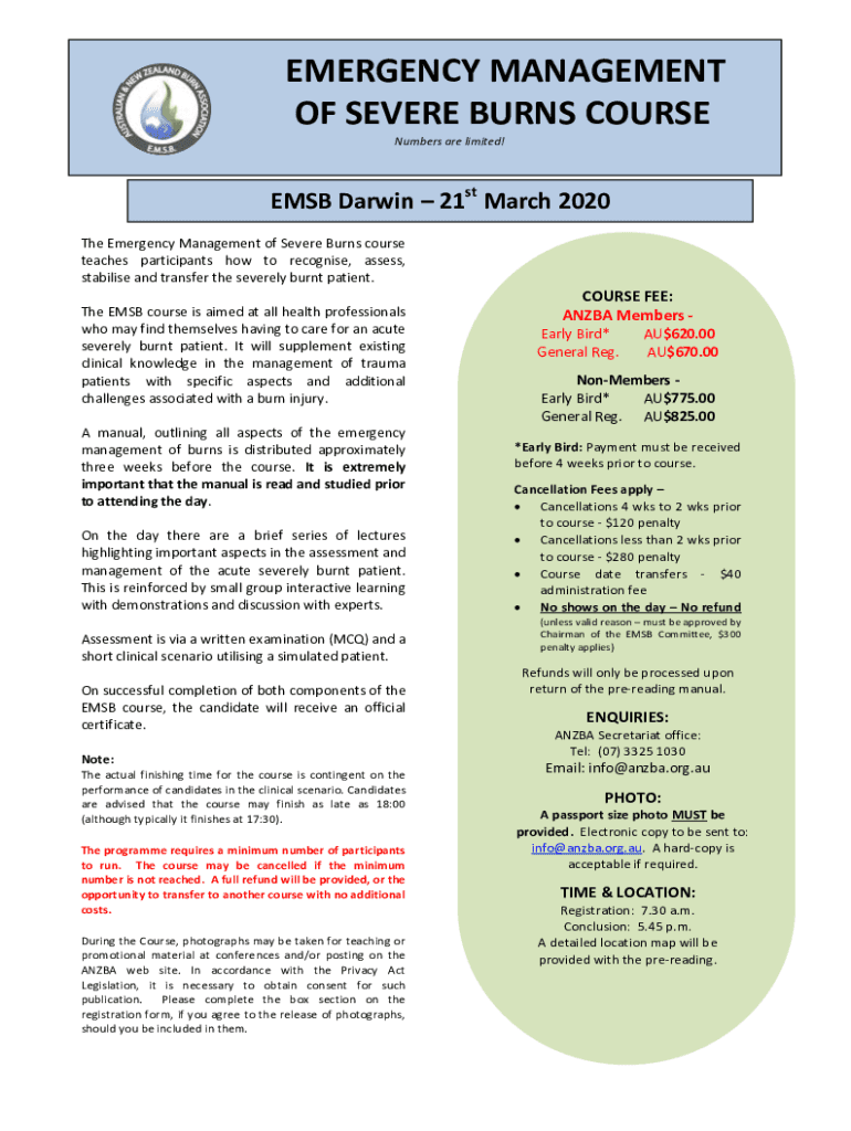 Fillable Online Review of the emergency management of severe burns ...