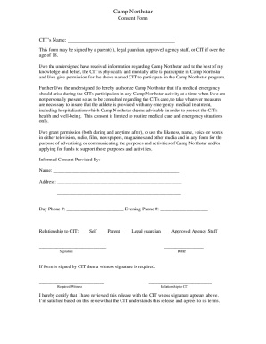 Fillable Online CIT Consent Form Fax Email Print - pdfFiller