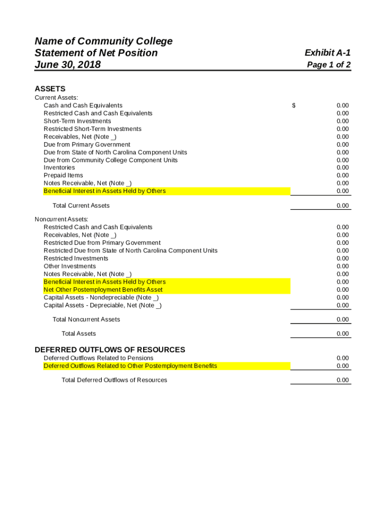 Fillable Online Statement of Net Position Fax Email Print - pdfFiller