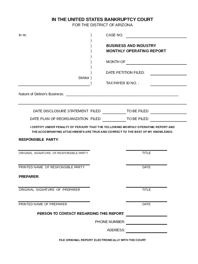 US Bankruptcy Court Monthly Operating Report - Blank Fillable Template ...