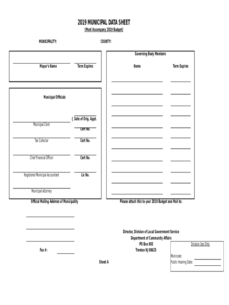 Fillable Online 2019 MUNICIPAL DATA SHEET Fax Email Print - pdfFiller