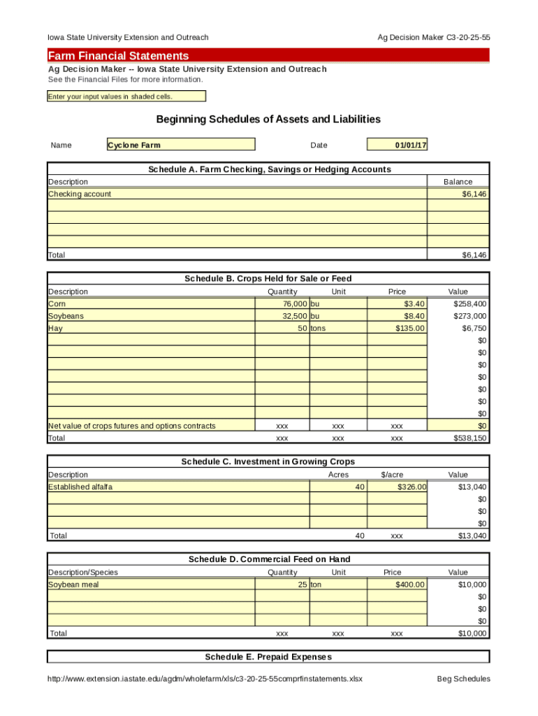 Fillable Online Farm Financial Statements Fax Email Print - pdfFiller