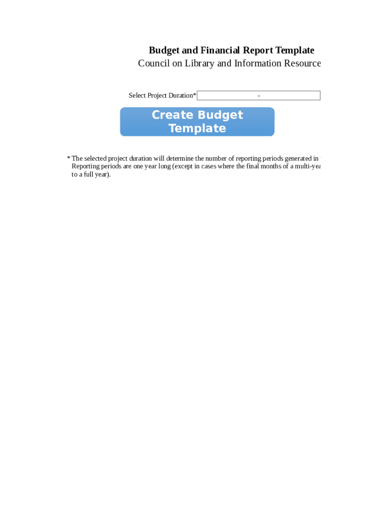 Fillable Online Budget and Financial Report Template Fax Email Print ...