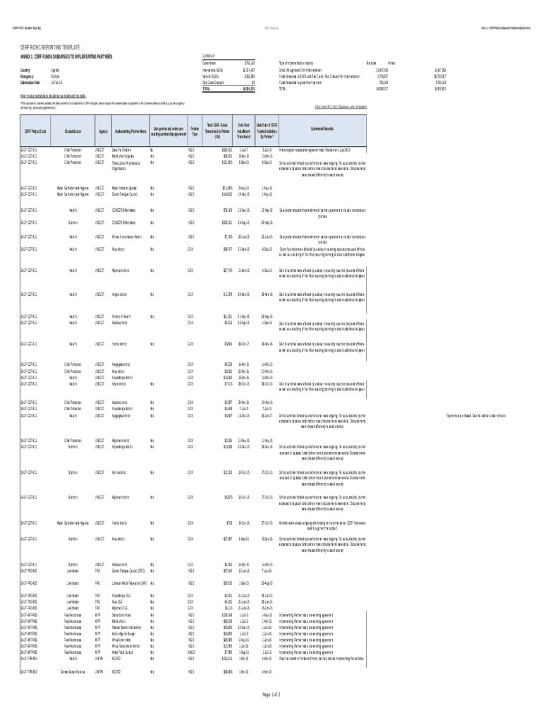 Fillable Online CERF RC/HC REPORTING TEMPLATE Fax Email Print - pdfFiller