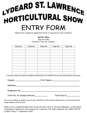 Fillable Online Basic Entry Form TemplateBasic, Free raffle, Contract ...