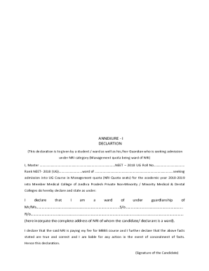 Fillable Online NRI Declaration Form.docx Fax Email Print - pdfFiller