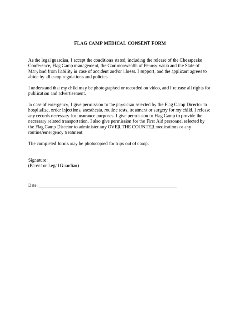FLAG CAMP MEDICAL CONSENT Doc Template | pdfFiller