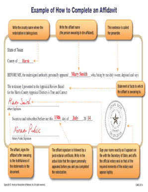 Fillable Online SAME NAME AFFIDAVIT - North American Title - HomeHow to ...