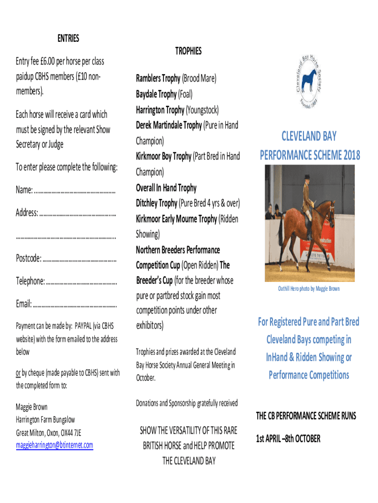 Fillable Online 2020 Timed Team Roping Entry Form - American Paint ...