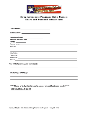 Fillable Online DAP VIDEO Entry and Minor release form Fax Email Print ...