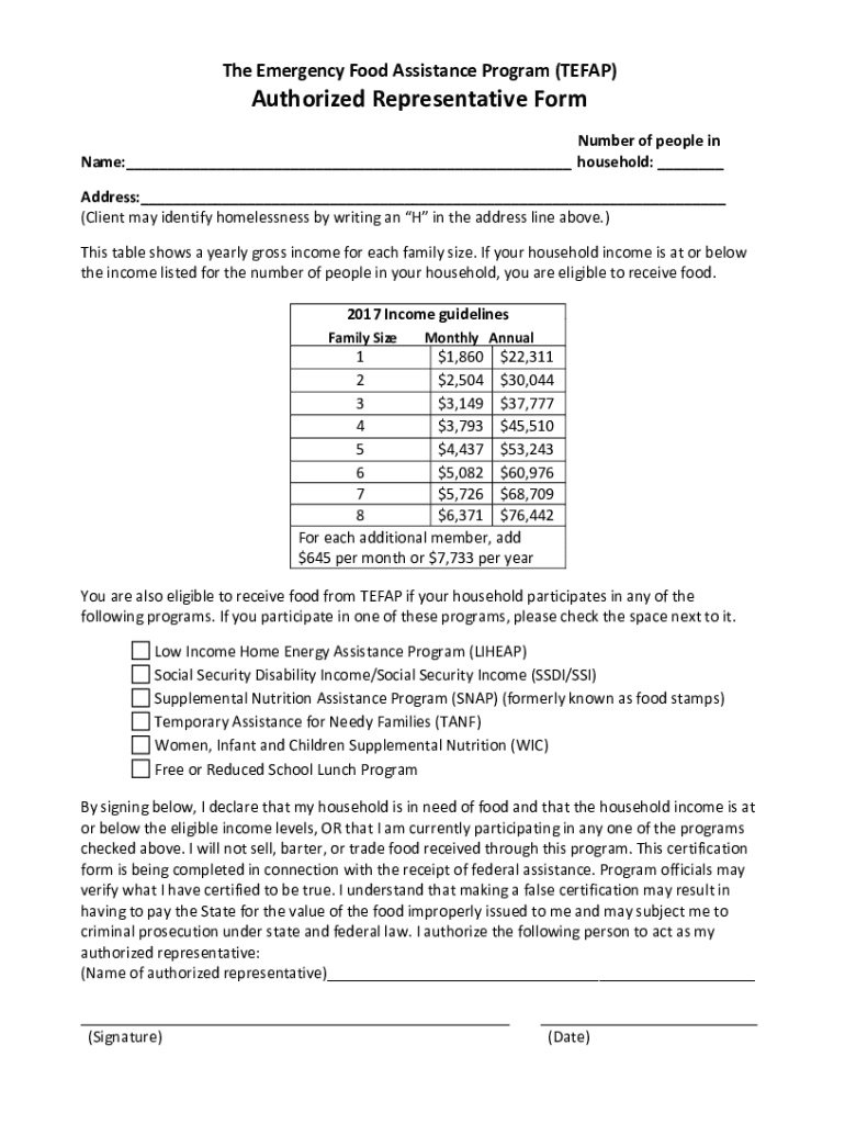 Fillable Online TEFAP Authorized Rep form Fax Email Print - pdfFiller