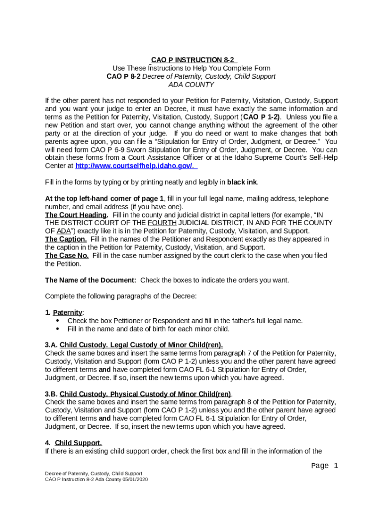 Order For Paternity Custody Visitation And Or Support CAO P ... Doc ...