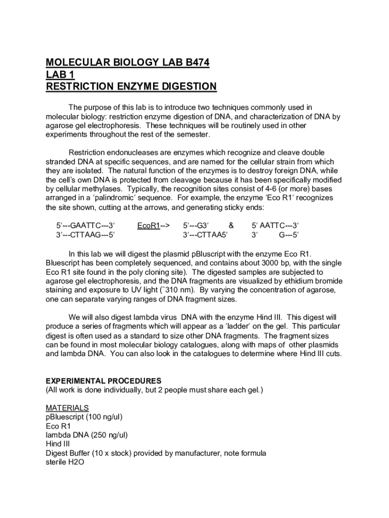Fillable Online www-personal umd umich PDF DNA Restriction Digests and ...
