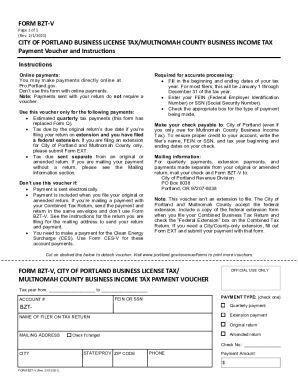 Form Bzt V - Fill Online, Printable, Fillable, Blank | pdfFiller