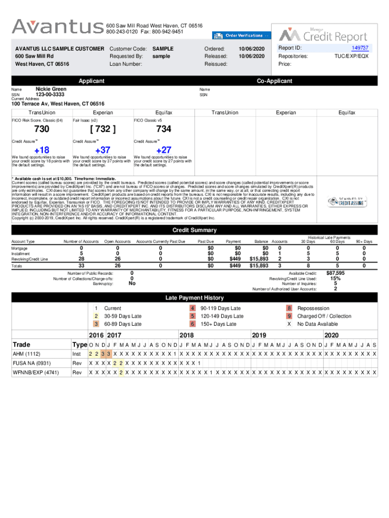 Fillable Online 40 Printable Sample Credit Report Forms and Templates ...