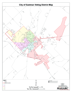 Fillable Online City of Eastman Voting District Map Fax Email Print ...
