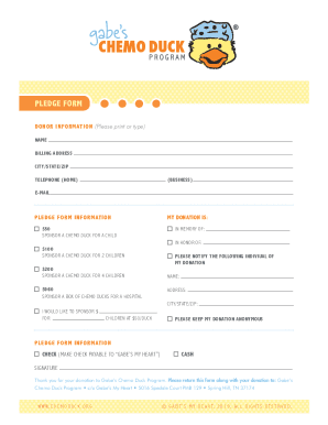 Donation Pledge Form Template Excel - Fill Online, Printable, Fillable ...