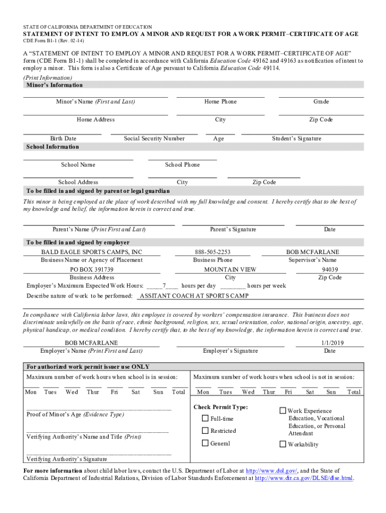 Fillable Online Statement of Intent to Employ Minor- application Fax ...