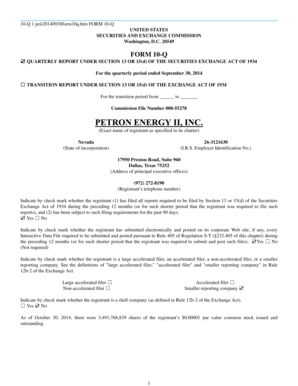 Fillable Online FORM 10-Q - Petron Energy II Fax Email Print - pdfFiller