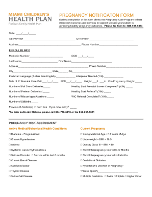 Fillable Online Pregnancy Verification Template - PDF ...