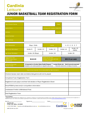 Fillable Online SENIOR NETBALL TEAM REGISTRATION FORM Fax Email Print ...
