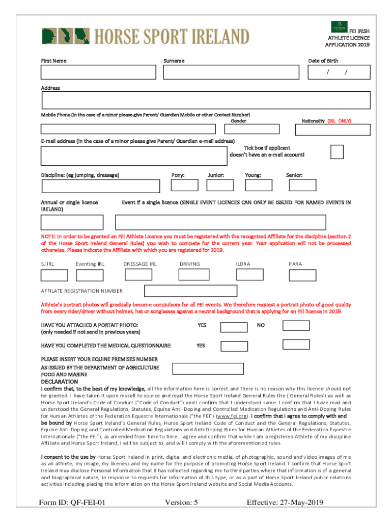 Fillable Online FEI IRISH Fax Email Print - pdfFiller