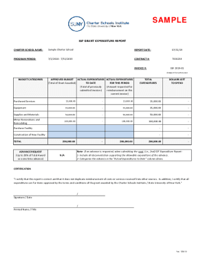 Fillable Online 2018-19 SSF Grant Expenditure Report Form-SAMPLE.xlsx Fax Email Print - pdfFiller