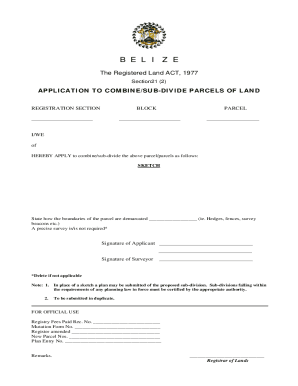 Fillable Online Application for Subdividing or Combining - Belize Land ...