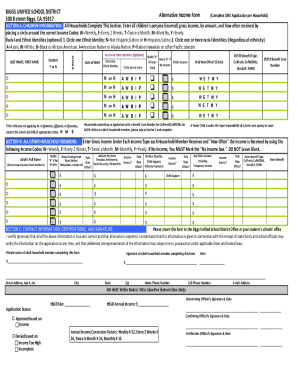 Fillable Online Sample Alternative Income Form 5 - Local Control ...