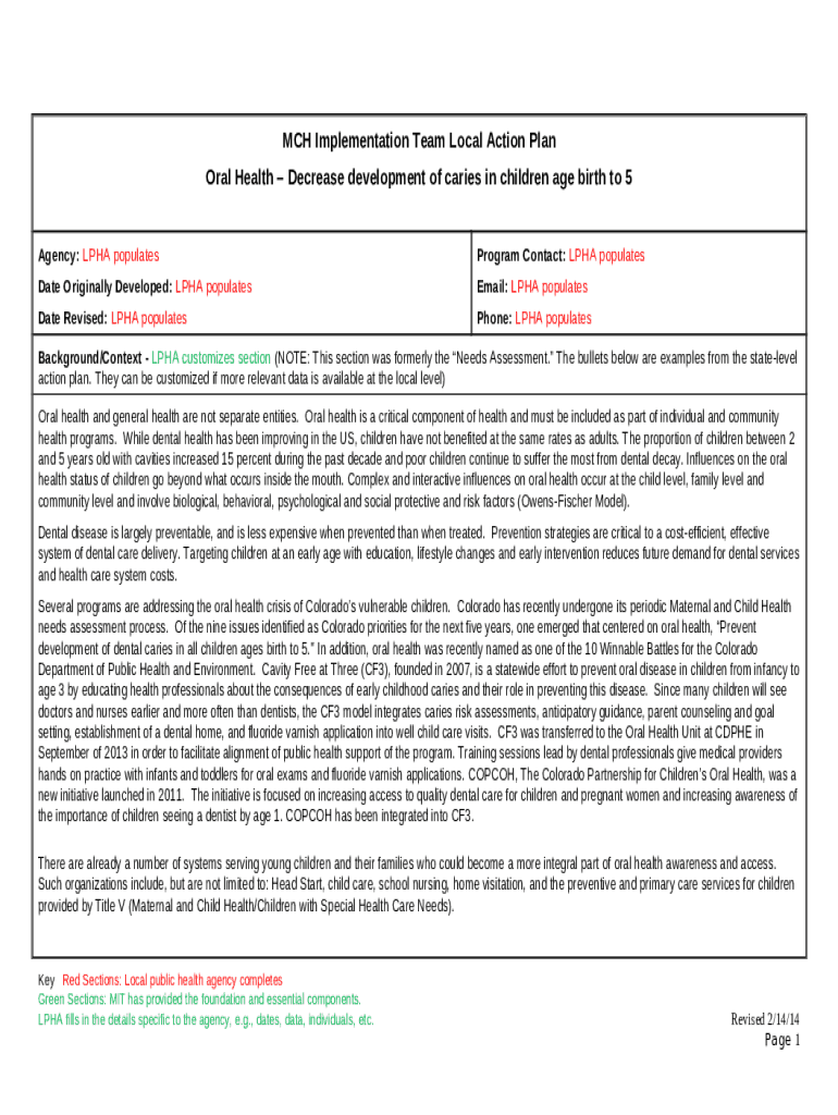 MCH Implementation Team Local Action Plan Oral Health ... Doc Template ...