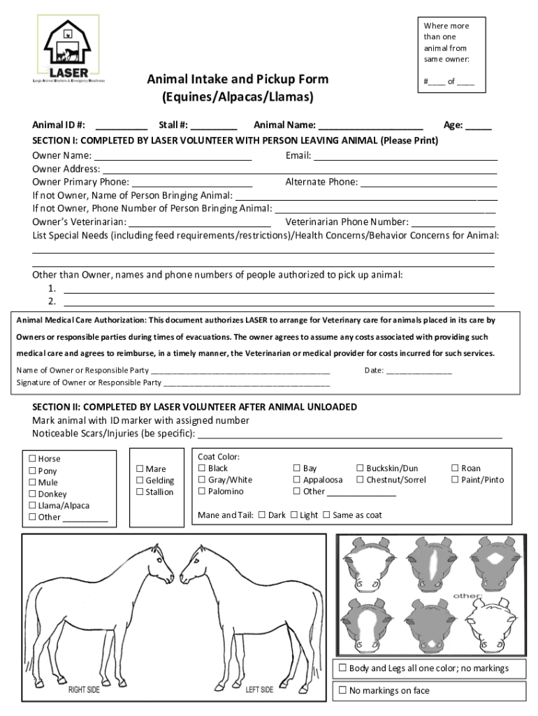 Fillable Online 02 - LASER -Animal Intake Form Rev.docx Fax Email Print ...