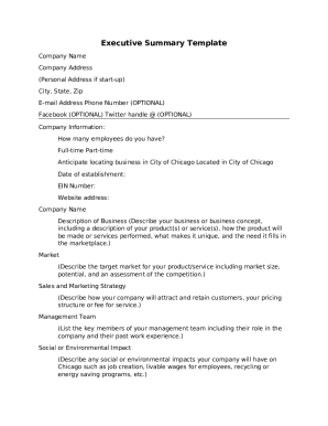 30+ Perfect Executive Summary Examples & Templates ? Doc Template ...