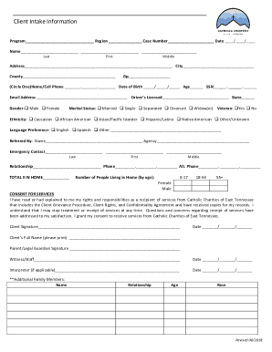 Fillable Online Case Information Statement - Client Intake Form PART A ...