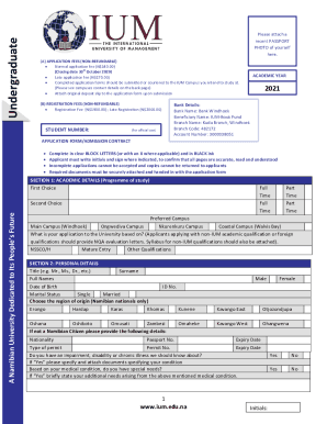 Fillable Online ium edu application for employment form pdf namibia ...