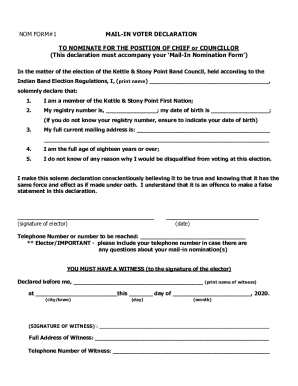 Fillable Online Election Nomination Form - Sample FormsVoting Forms ...
