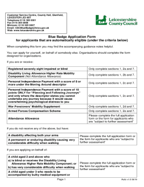 Fillable Online Blue Badge application form for individuals eligible ...