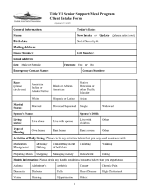Fillable Online Client Intake Form - Senior Meal Program Updated1.docx ...