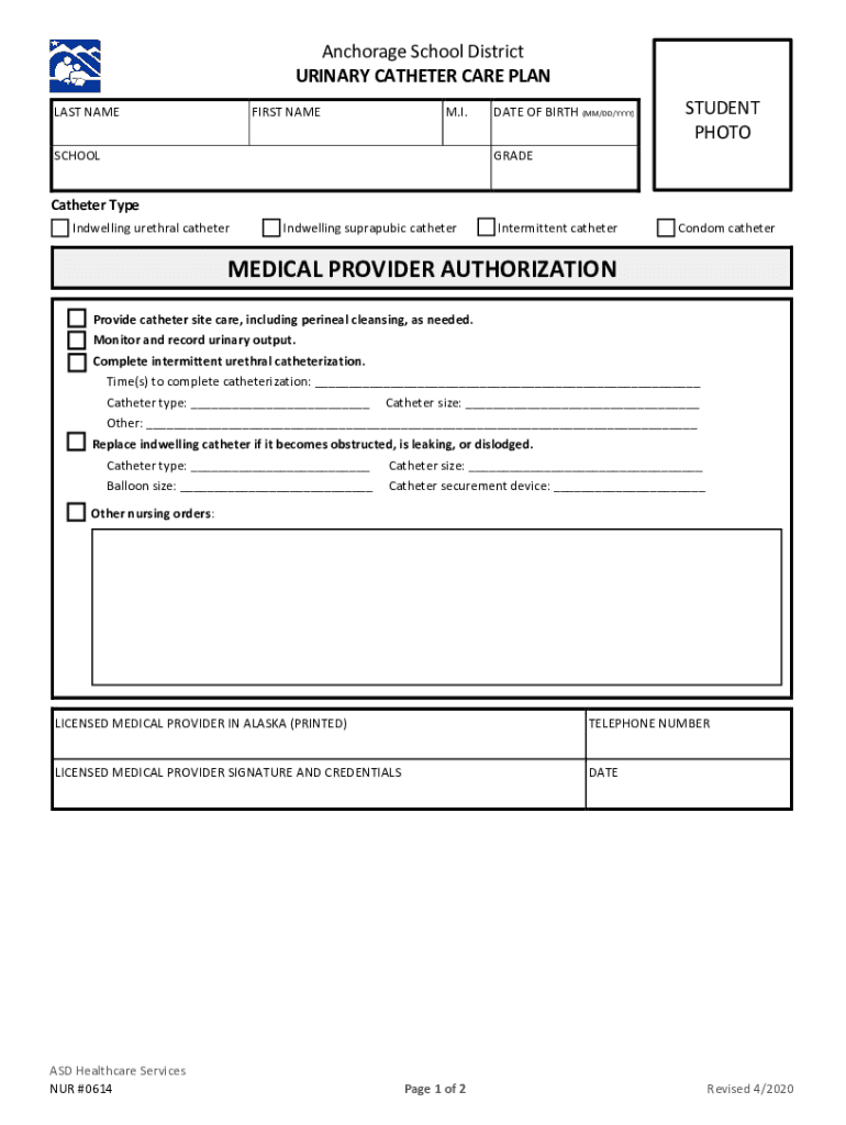 Catheter Care Plan Template - Fill Online, Printable, Fillable, Blank ...