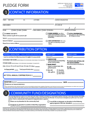 Fillable Online 2020 Individual Pledge Form - Fillable (003) Fax Email ...
