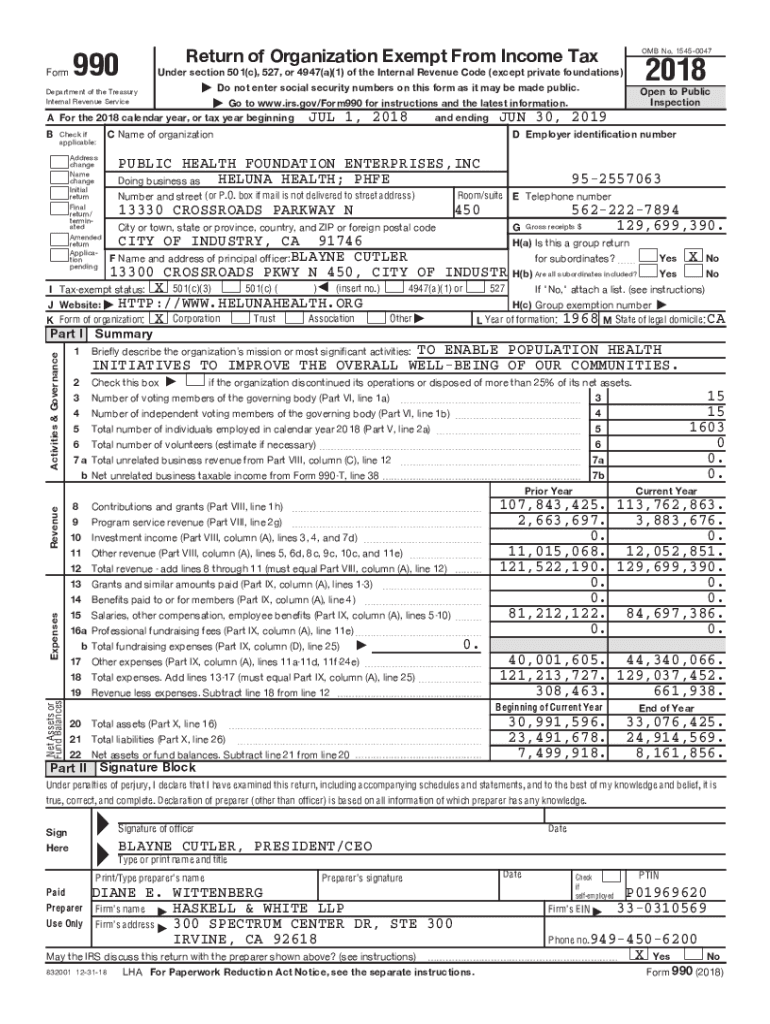Fillable Online FY19 Form 990.pdf Fax Email Print - pdfFiller