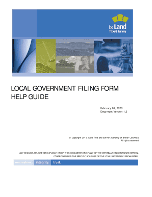 Fillable Online Local Government Filing Form Help Guide Fax Email Print ...