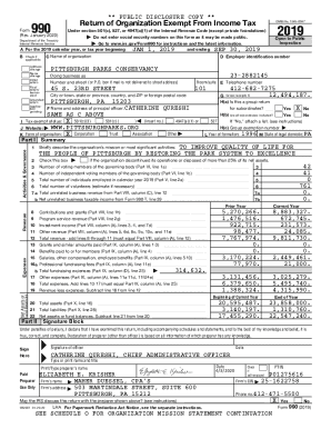 Fillable Online Review the most recent IRS Form 990, Return of ...