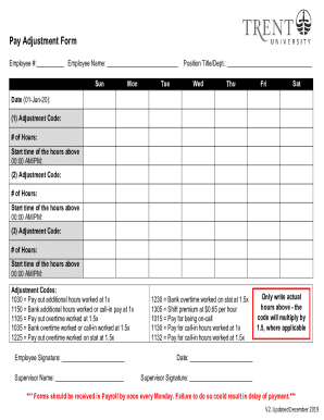 Fillable Online Pay Adjustment Form v2 Fax Email Print - pdfFiller