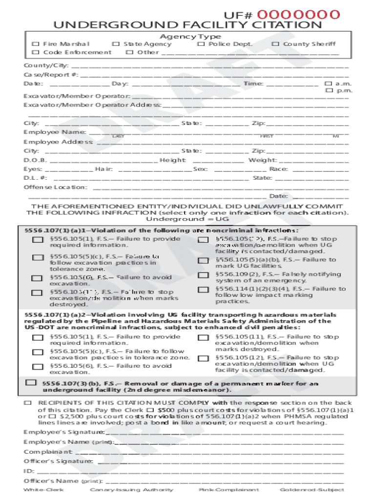 Fillable Online 2020 Citation Form Template Fax Email Print - pdfFiller