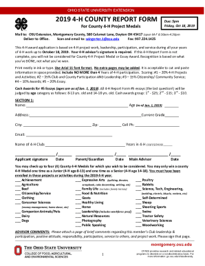Fillable Online 2019 County Report Form - Final Fax Email Print - pdfFiller