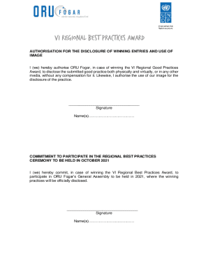 Fillable Online A how-to template for an award-winning entry for the ...