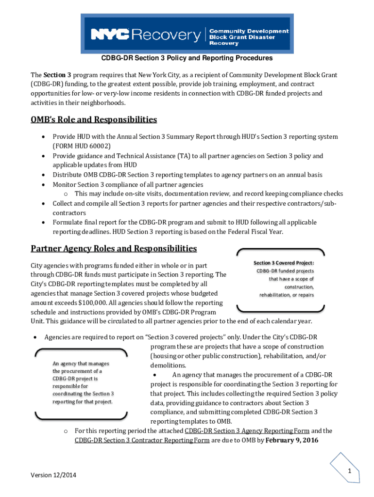 Fillable Online CDBG-DR Agency Section 3 Reporting FOrm - New York City ...