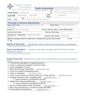 DSP Monthly Report Template Doc Template | pdfFiller
