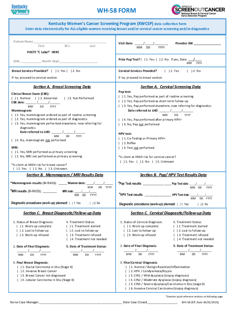 Fillable Online chfs ky WH-58 FORM Fax Email Print - pdfFiller