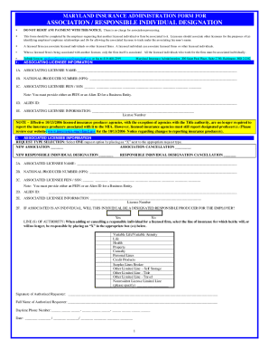 Fillable Online Association - Responsible Individual Designation Form ...